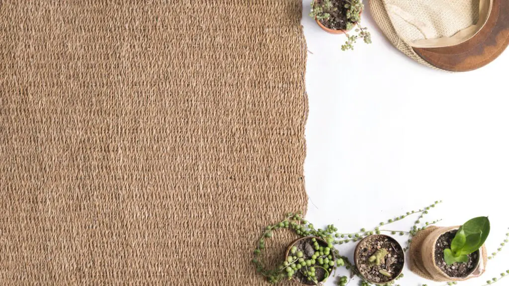 Discover 6 Beautiful Boho Rugs to Transform Your Home